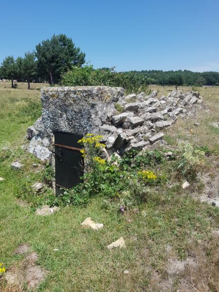 Arte y Monumentos - Ayuntamiento de Abejar