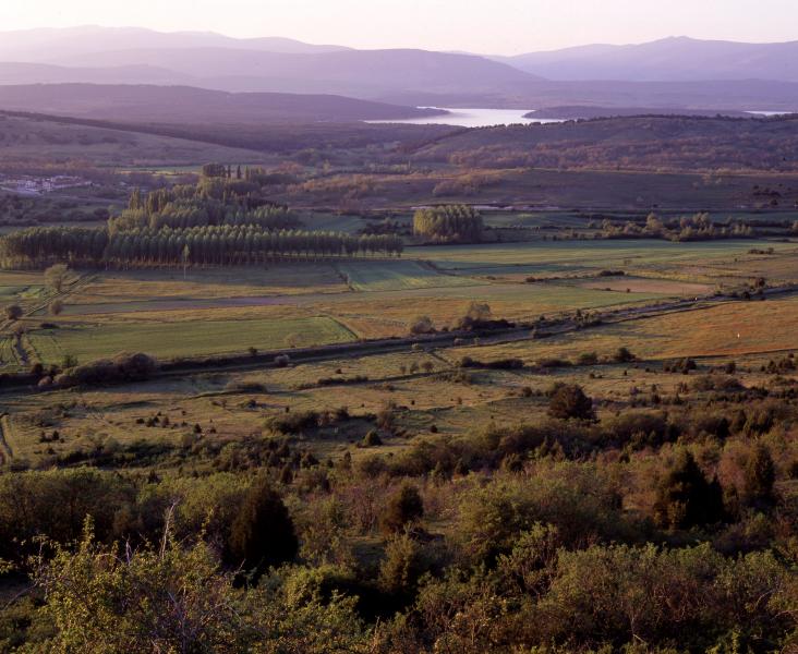 El Medio - Ayuntamiento de Abejar